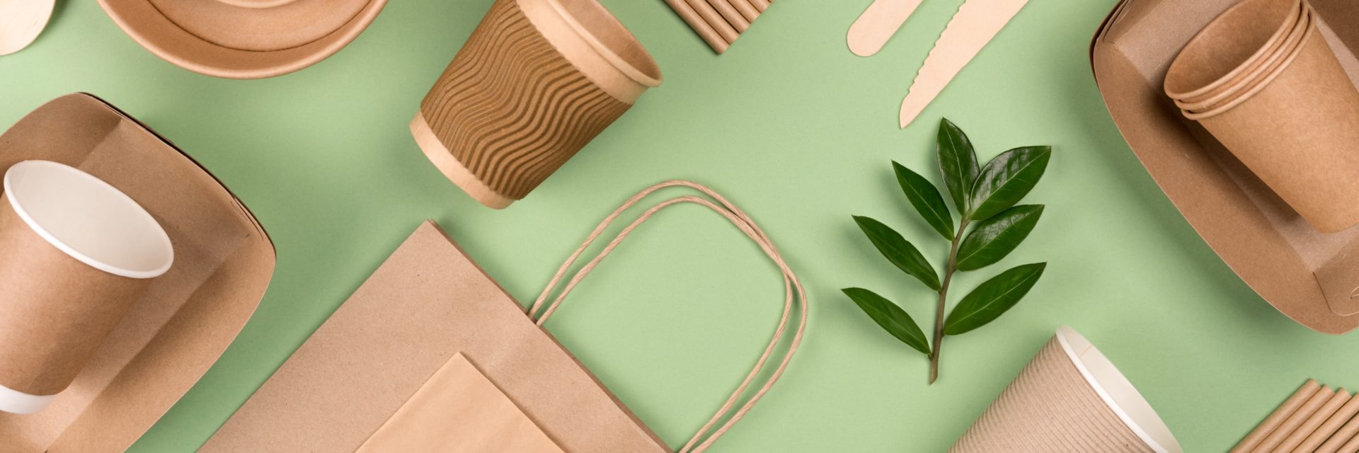 Back2Bio • Envases Biodegradables para Alimentos